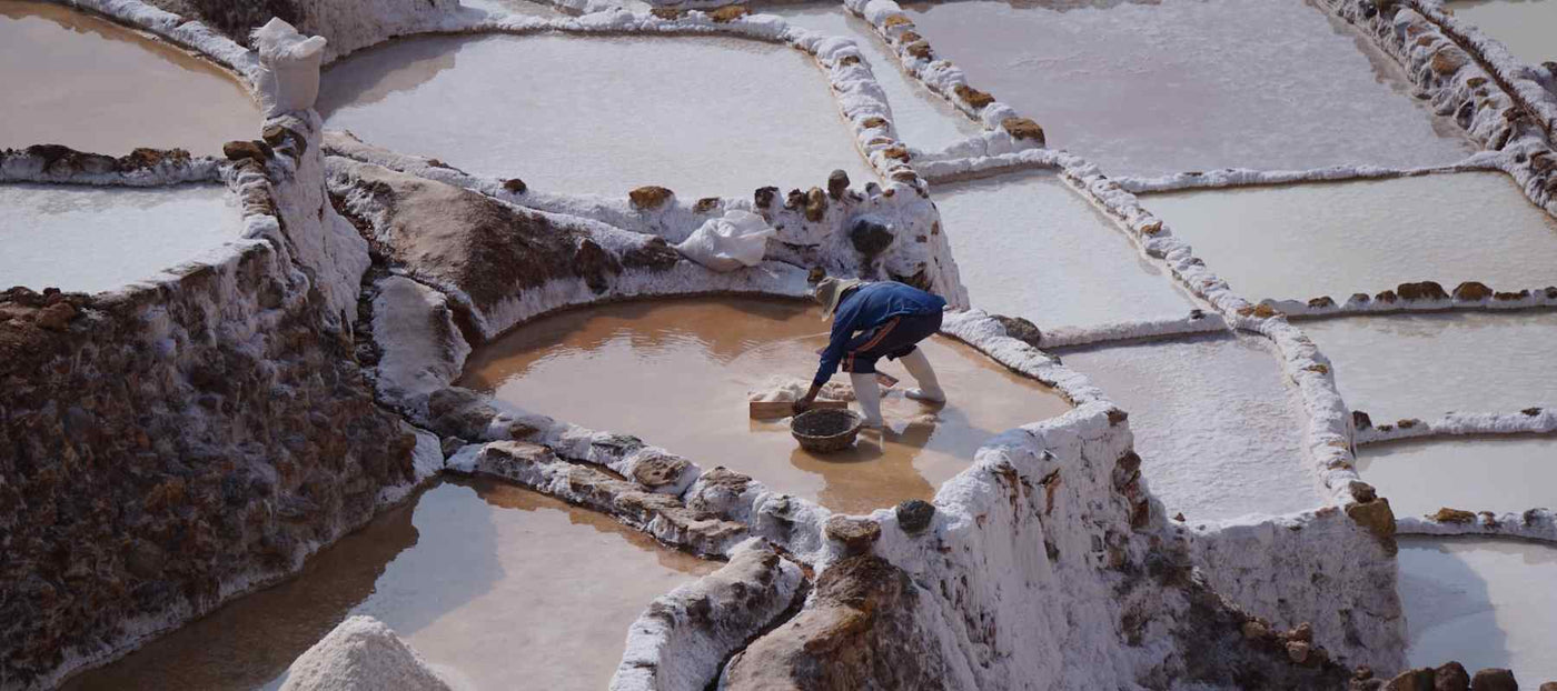 Meersalz: Eine ganz besondere Salz-Spezialität | Delidía - Delidia